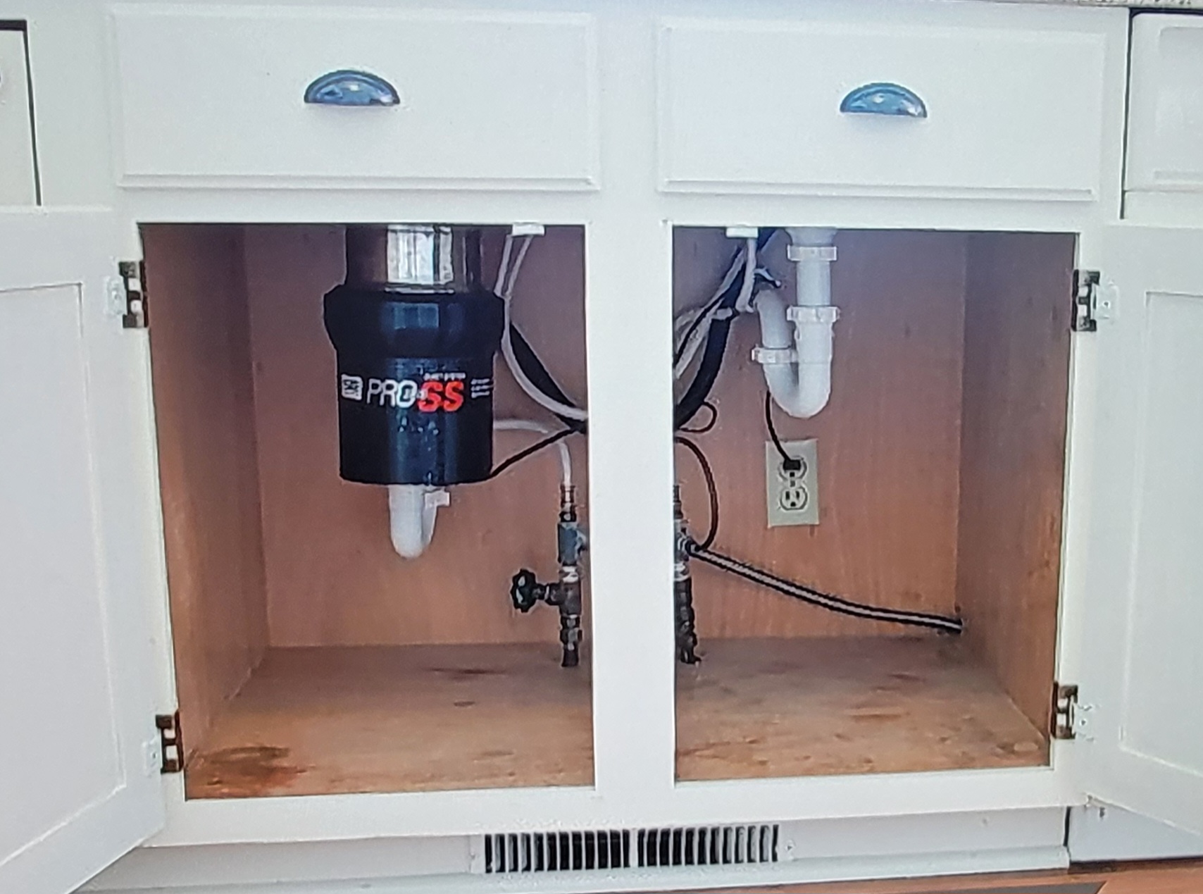 How Mold Removal Works in Your Kitchen – Certified Mold Removal